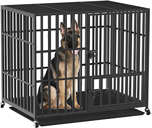 Hundeboxen fürs Auto - Die besten Hundetransportboxen ({2026})