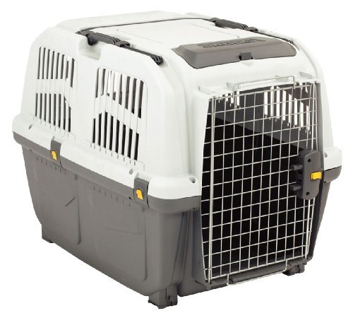 Hundebox Kunststoff - Kunststoff Transportboxen in allen Größen!